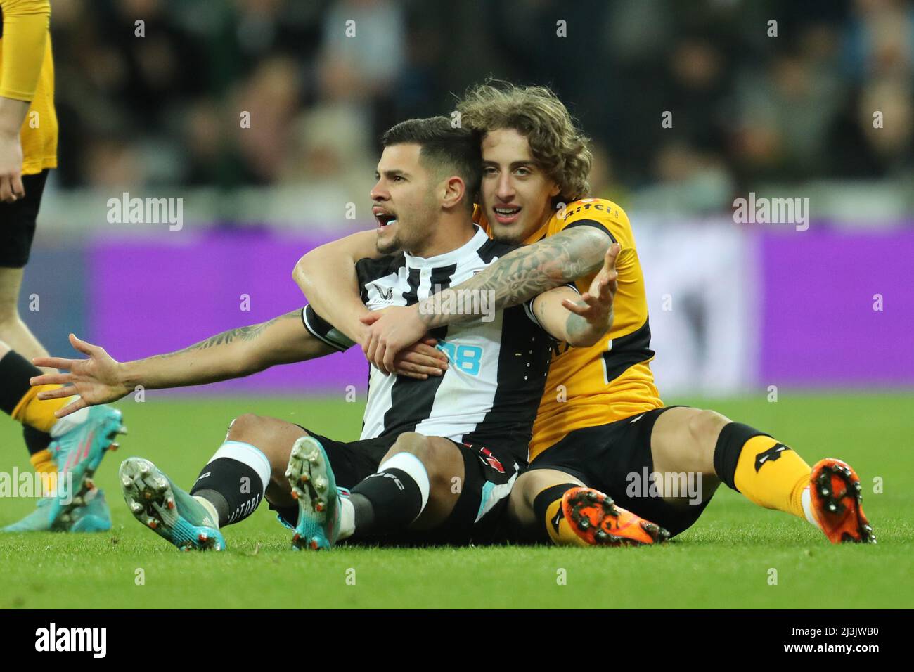 Bruno silva hi-res stock photography and images - Alamy