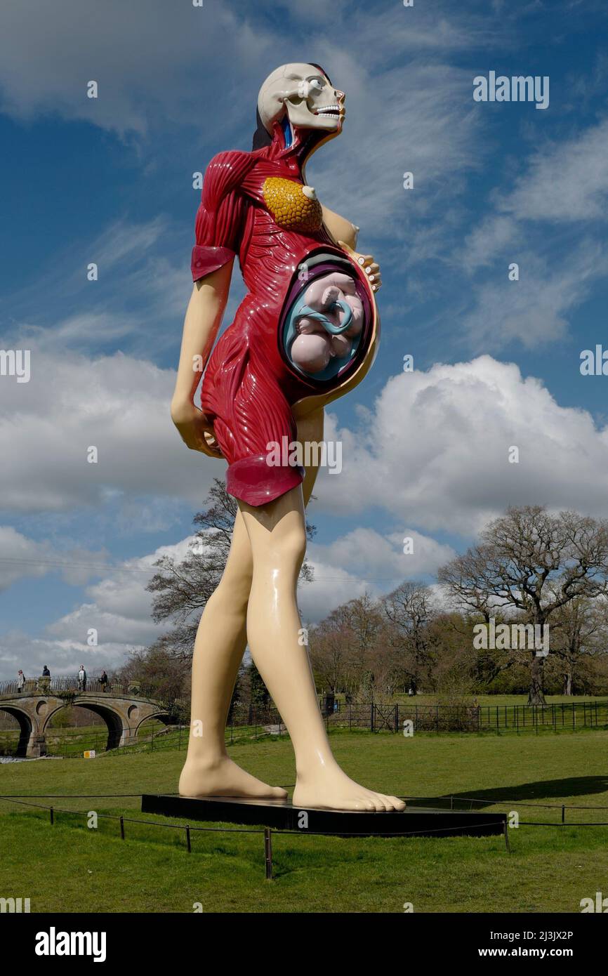 Yorkshire Sculpture Park including artwork by Henry moore and damian ...