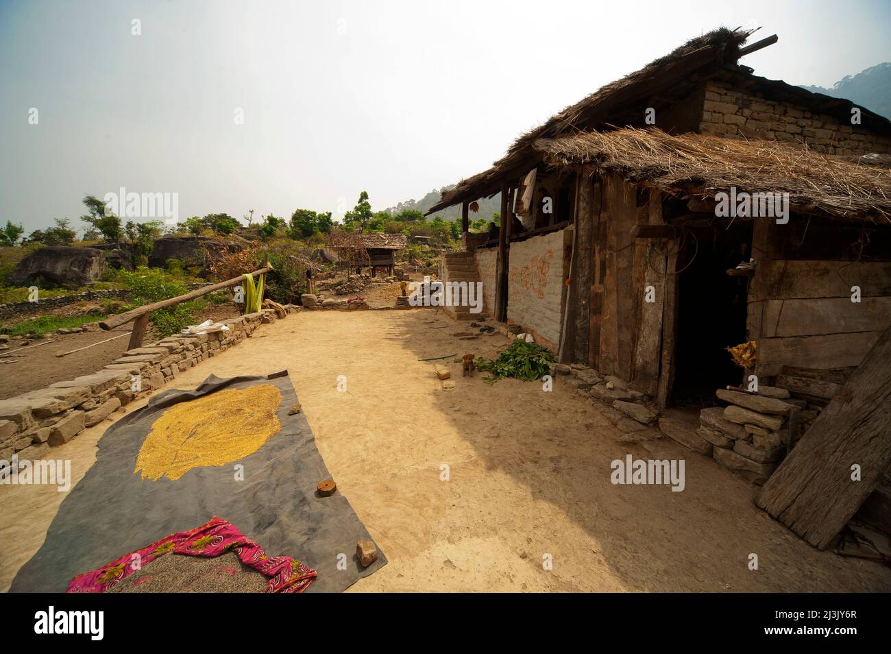 Simple life at Kot Kendri village, made famous by Jim Corbett in his ...