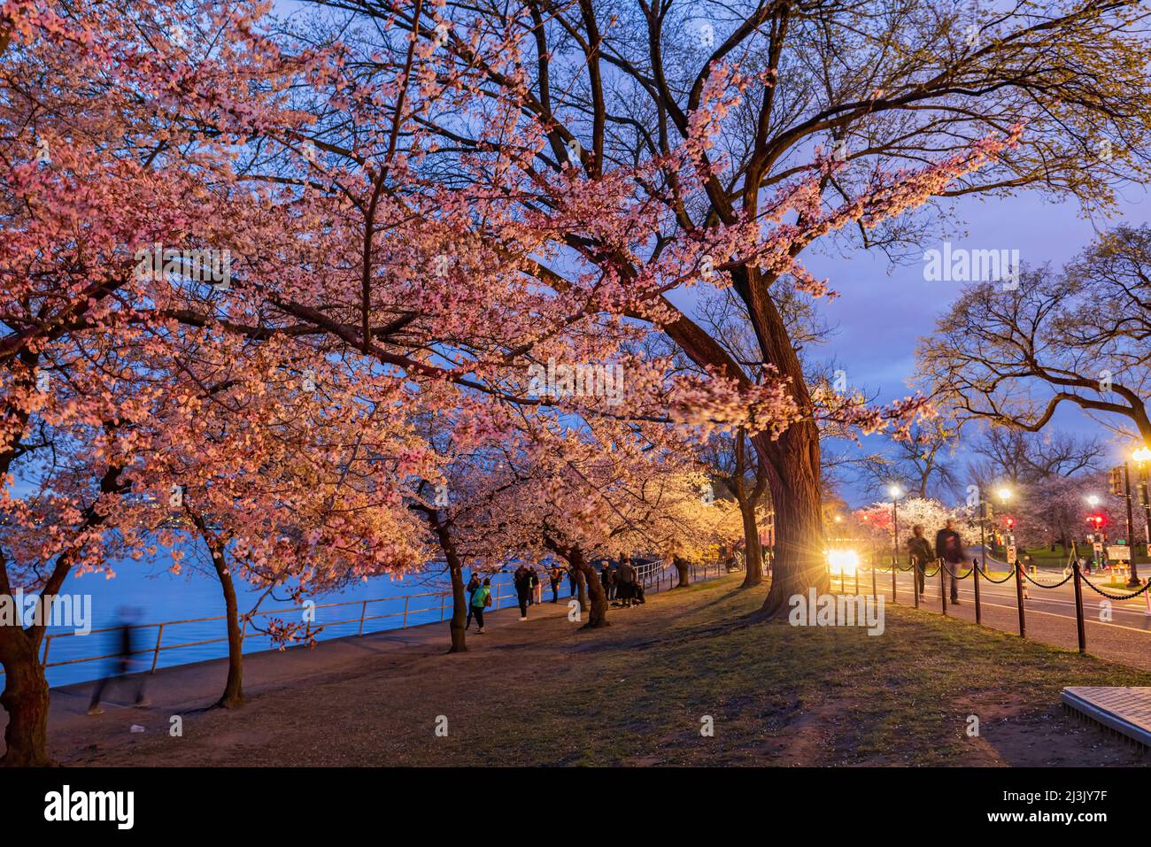 Spring sunset tidal basin dc hi-res stock photography and images - Alamy