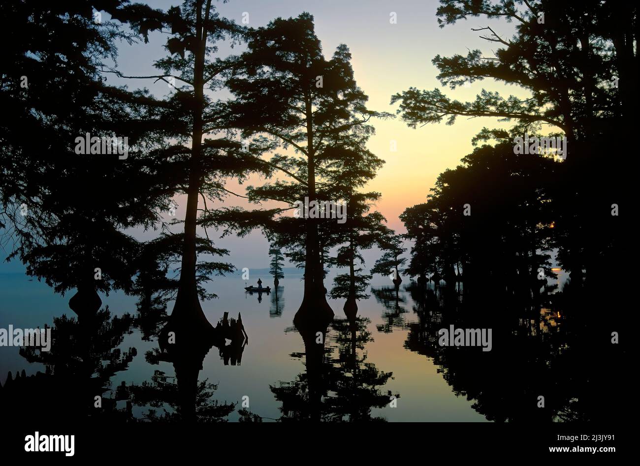 Reelfoot Lake & Bass Fisherman, Tennessee Stock Photo - Alamy