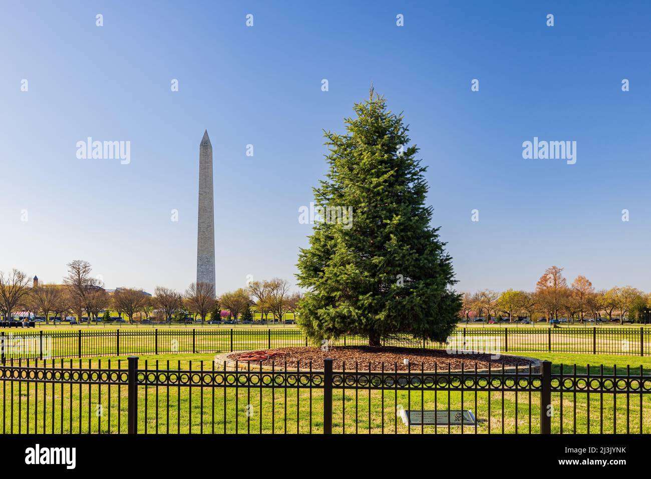 National christmas tree hi-res stock photography and images - Alamy