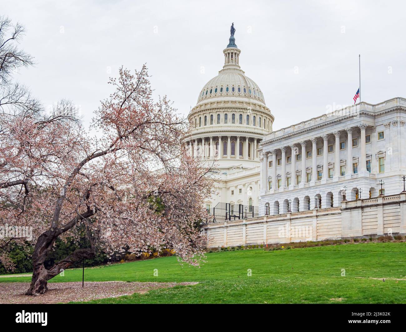 George washington cherry tree hi-res stock photography and images - Alamy