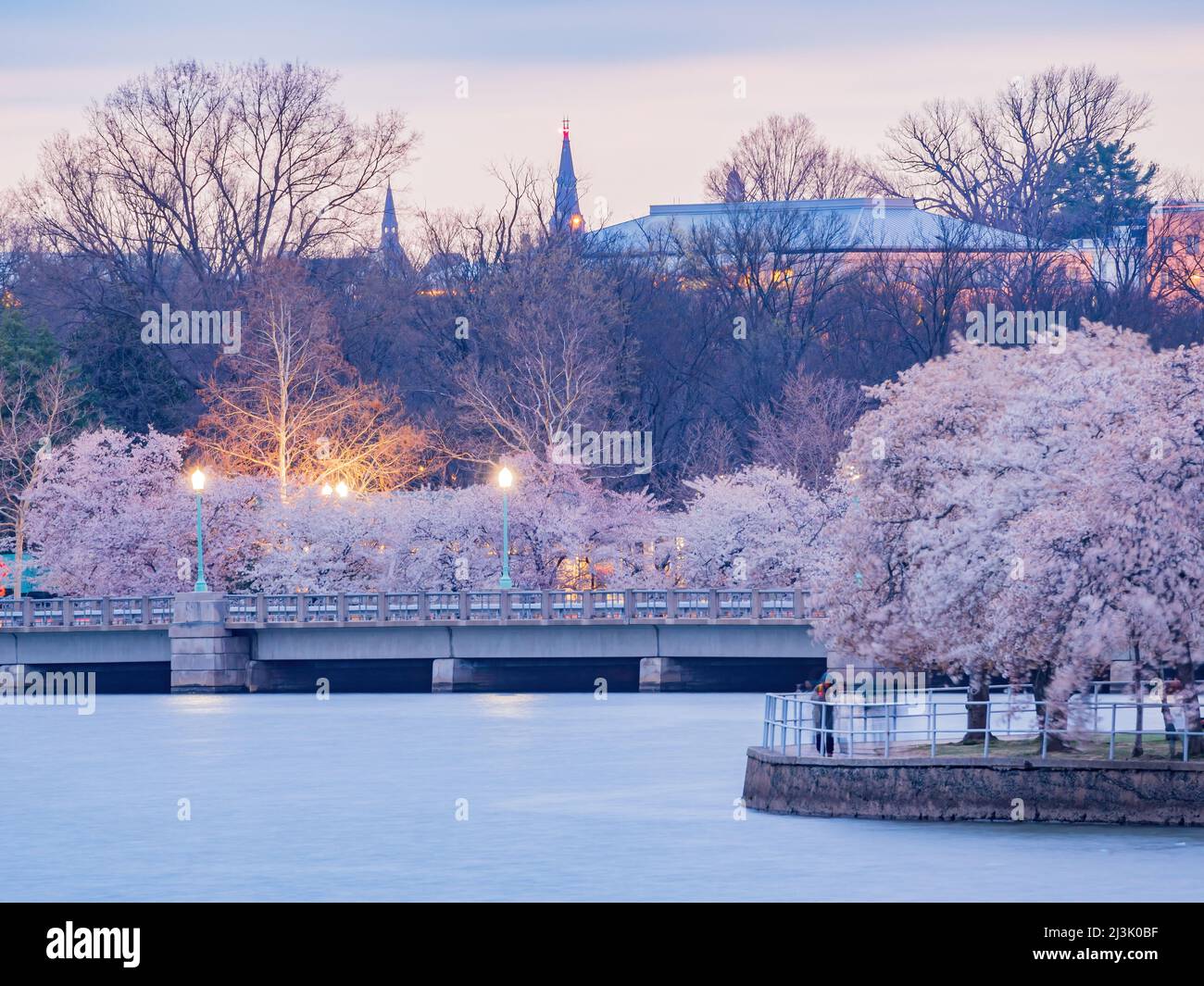 Beautiful sunset skyline of downtown with cherry blossom at Washington ...