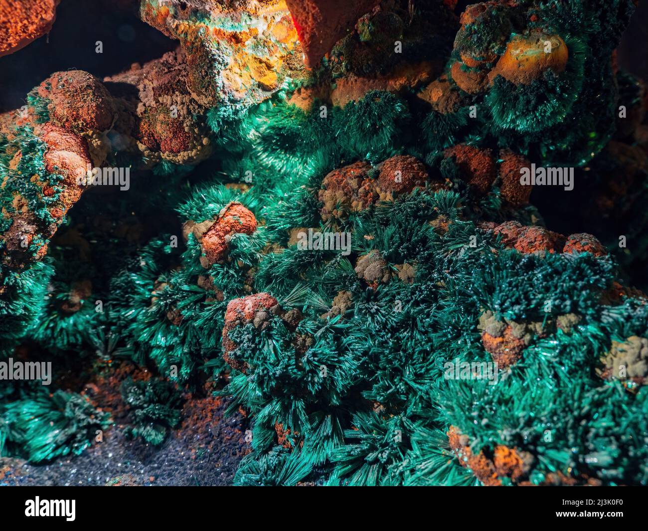 Washington DC, MAR 31 2022 - Close up shot of different mineral display ...