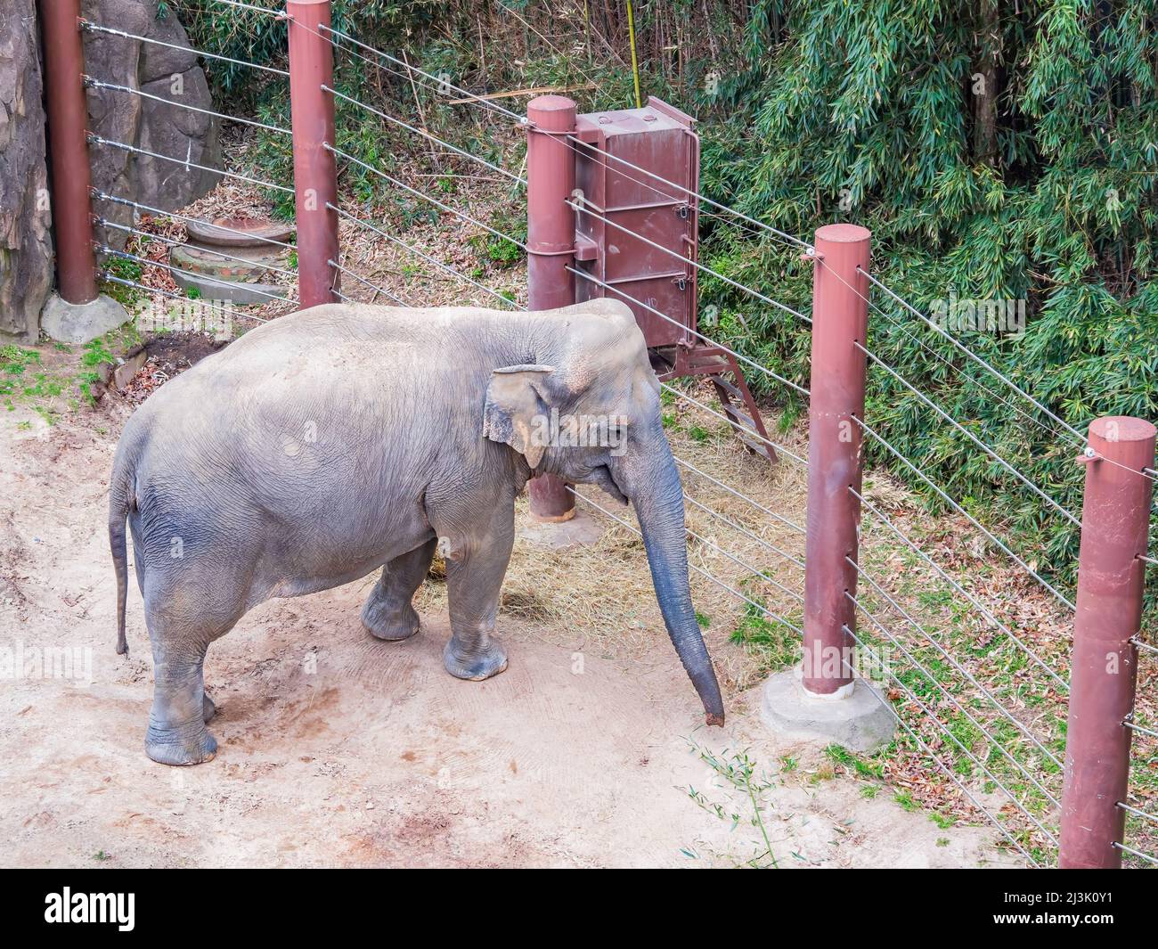National Zoo Elephant Exhibit