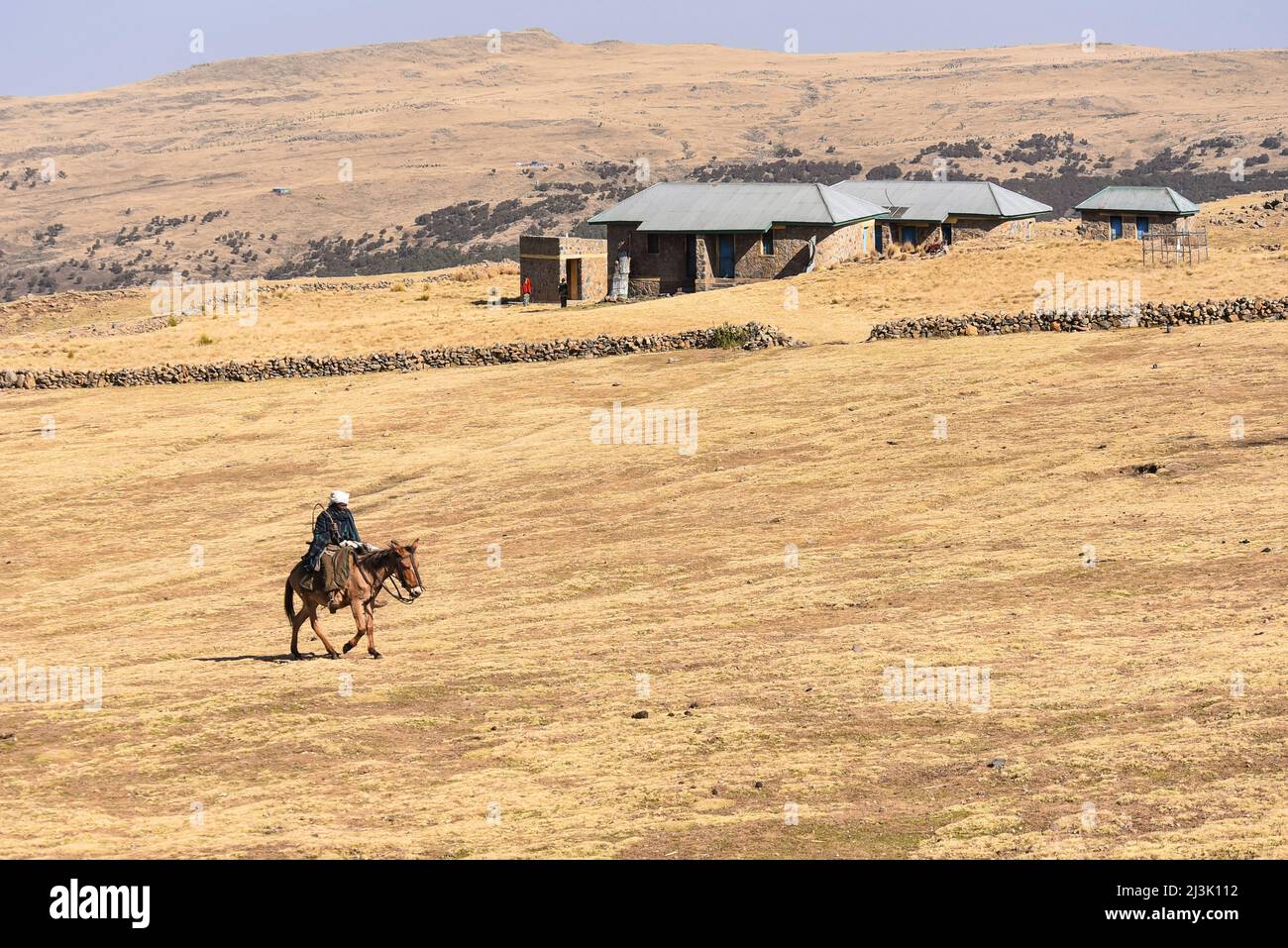 Cattleman riding mule in Ethiopia countryside; Ethiopia Stock Photo - Alamy