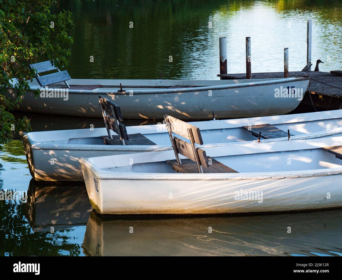 Rowing boat rowing boats hi-res stock photography and images - Alamy