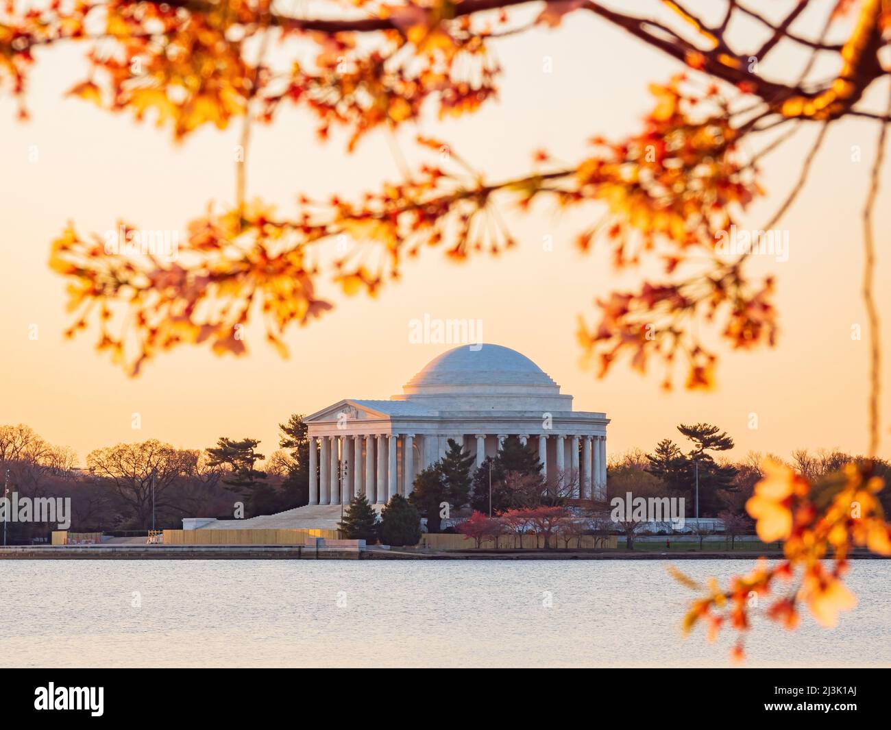 Sun rise view of the Thomas Jefferson Memorial with cherry blossom at ...