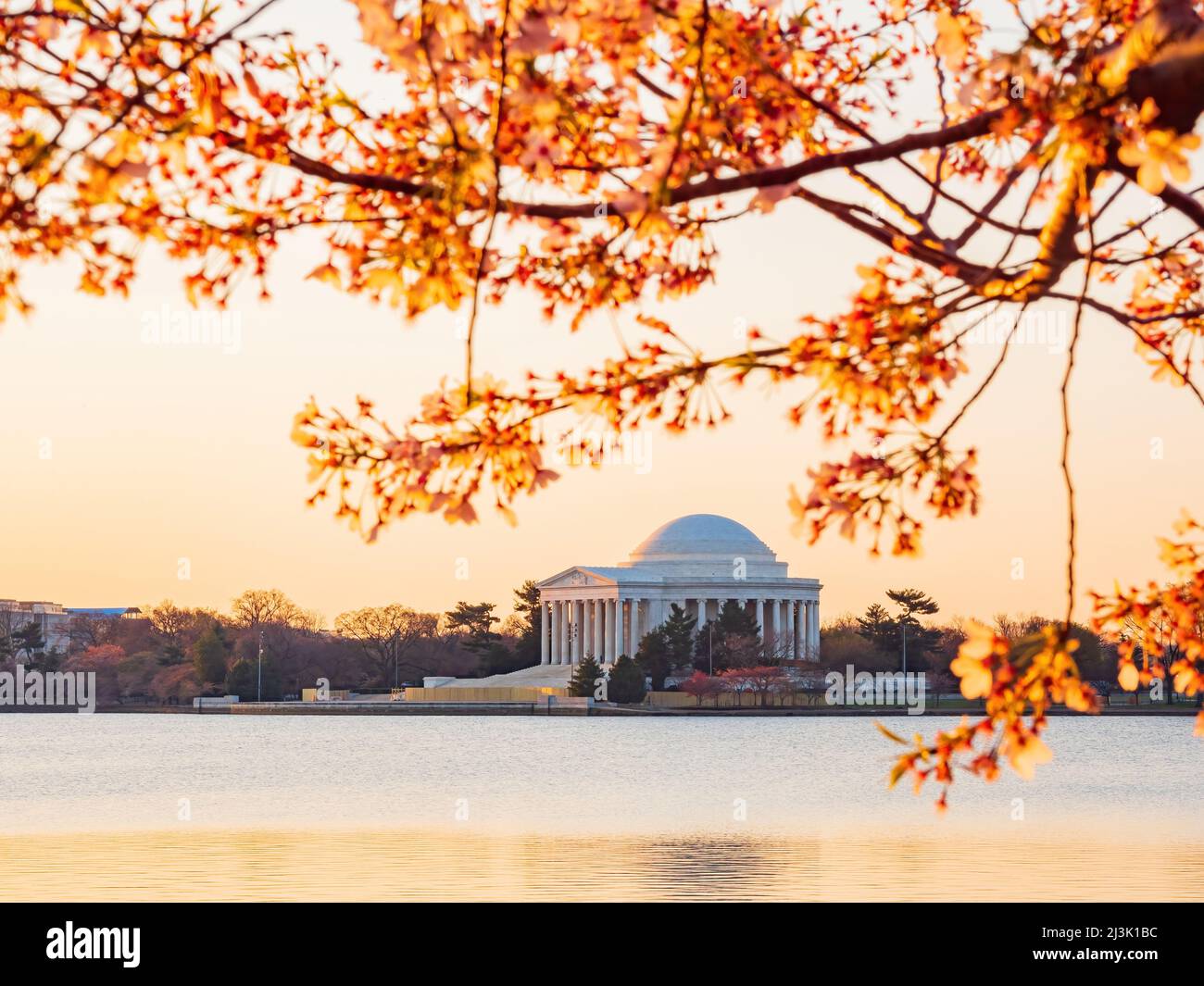 Sun rise view of the Thomas Jefferson Memorial with cherry blossom at ...