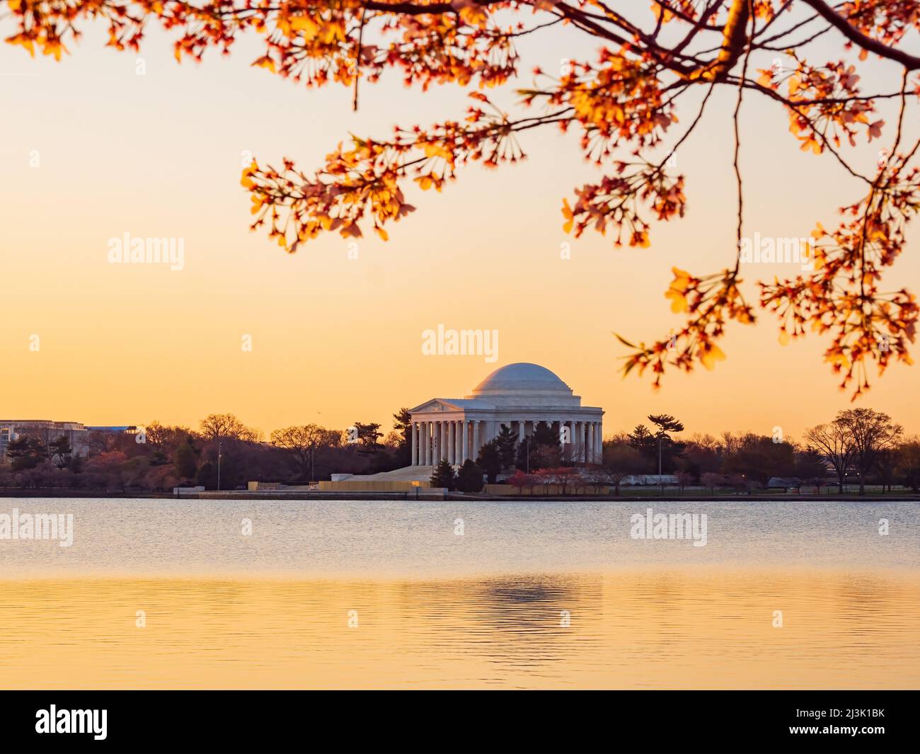 Sun rise view of the Thomas Jefferson Memorial with cherry blossom at ...