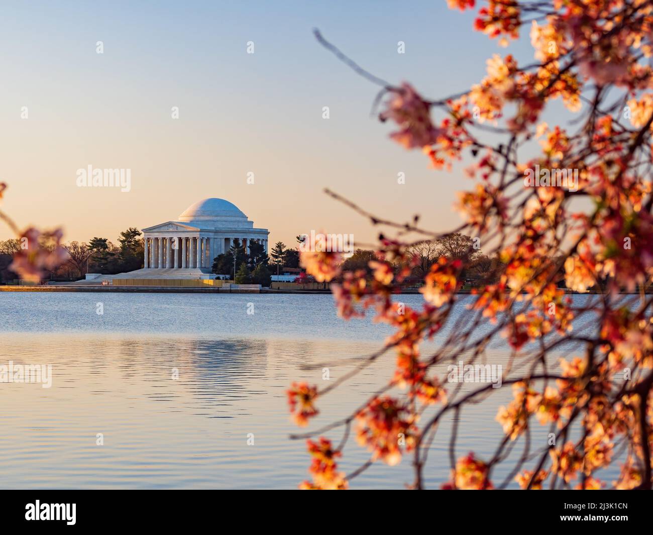 Sun rise view of the Thomas Jefferson Memorial with cherry blossom at ...