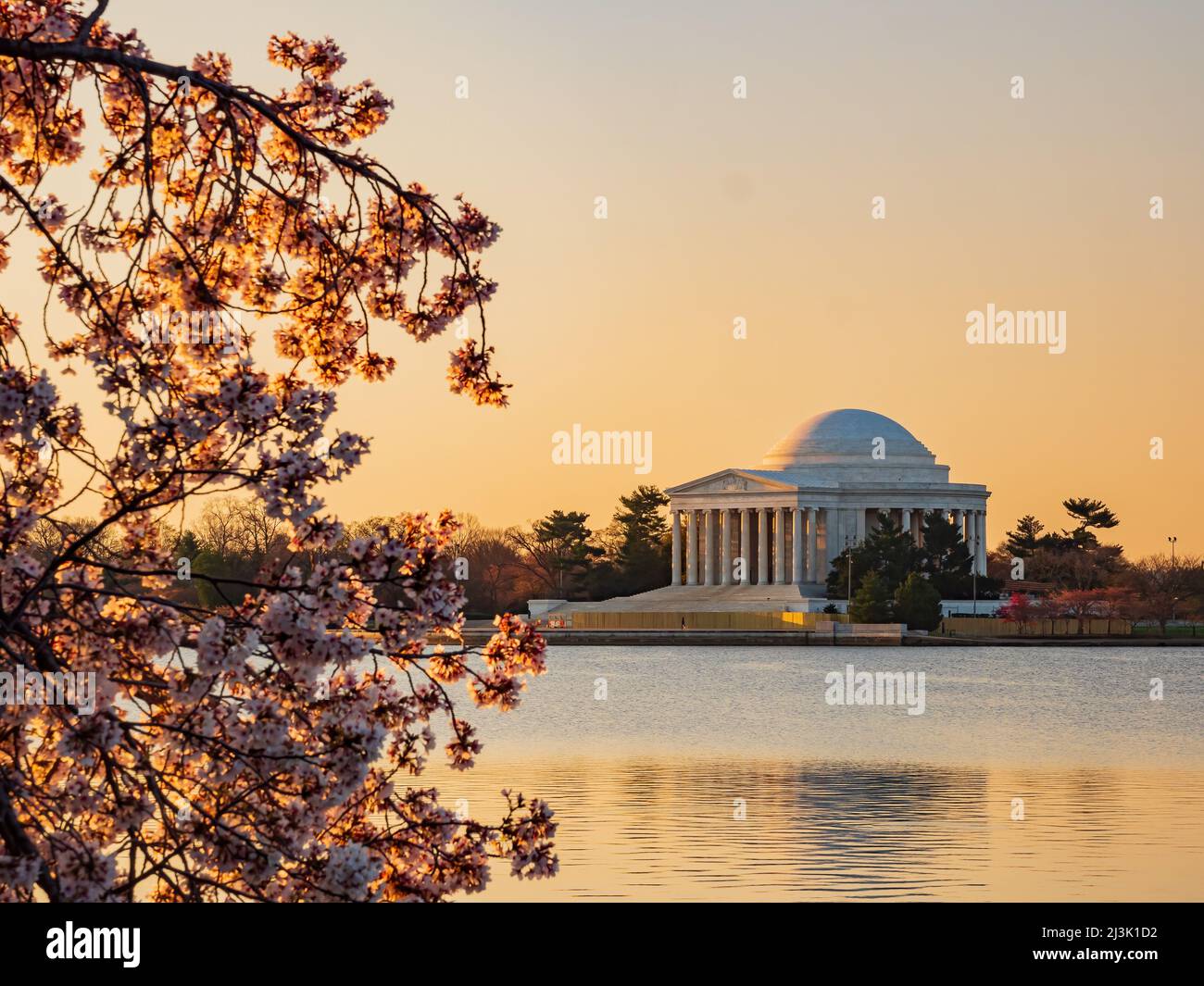 Sun rise view of the Thomas Jefferson Memorial with cherry blossom at ...