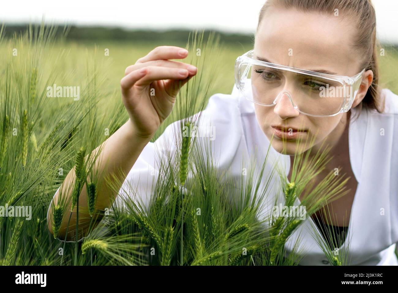 Field scientist studying plants hi-res stock photography and images - Alamy
