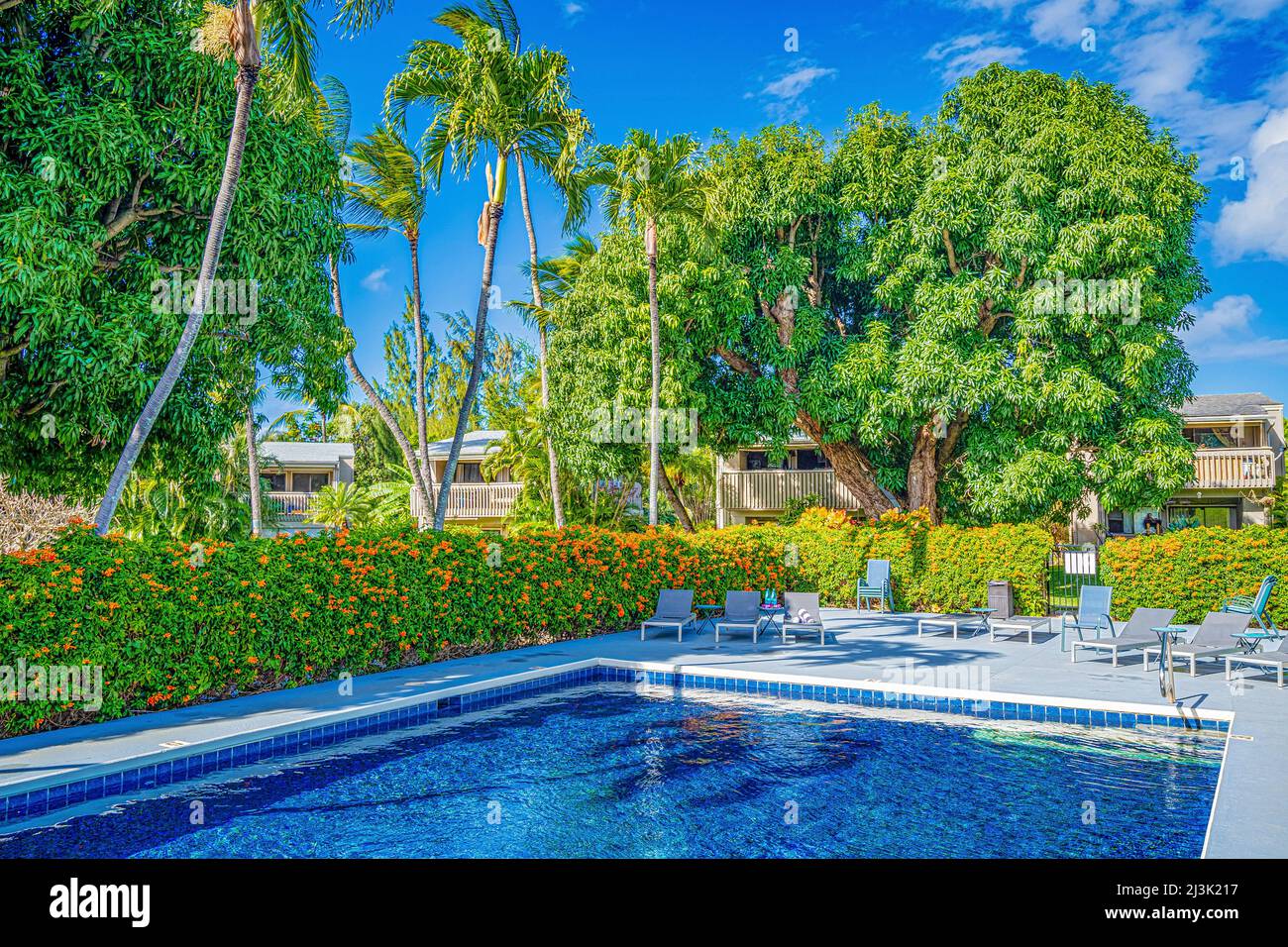 Lush vegetation around the pool at a resort on the island of Maui ...