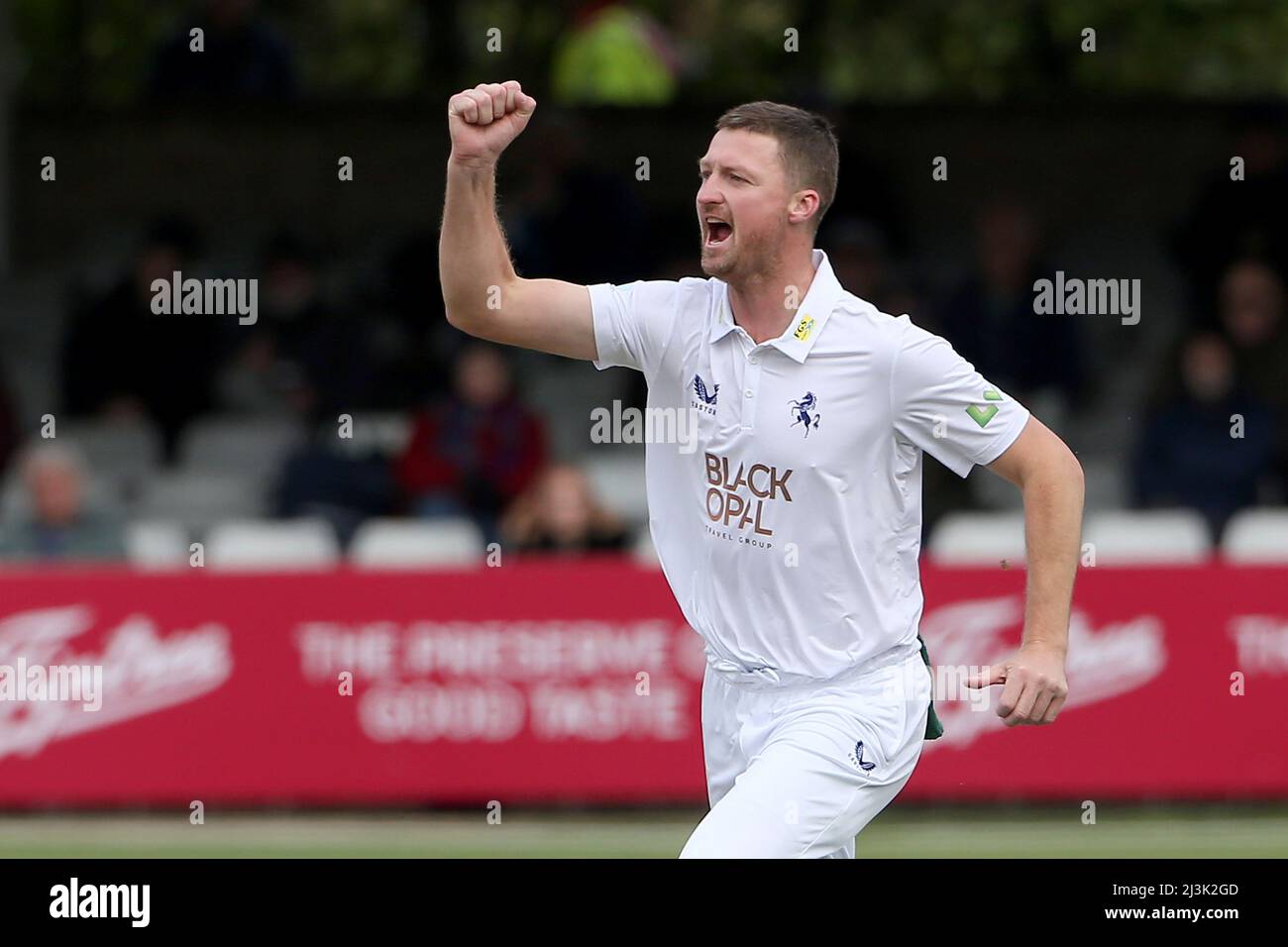 Jackson bird kent hi-res stock photography and images - Alamy