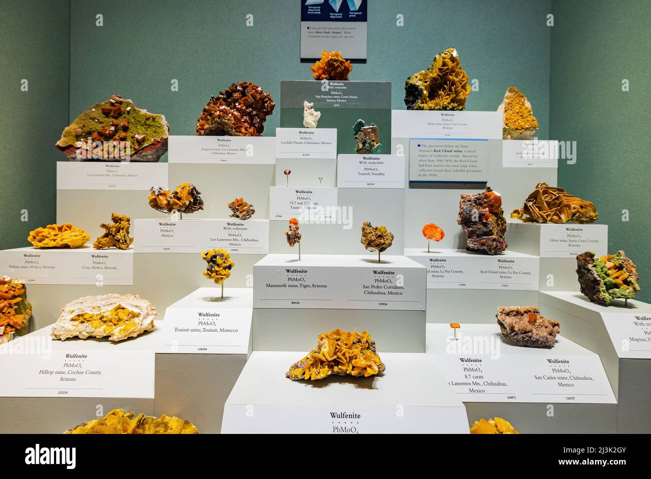 Washington DC, MAR 31 2022 - Close up shot of different mineral display ...