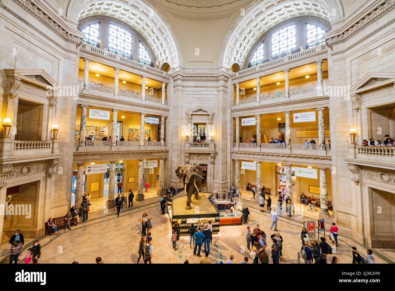 Washington DC, MAR 31 2022 - Interior view of the Smithsonian National ...