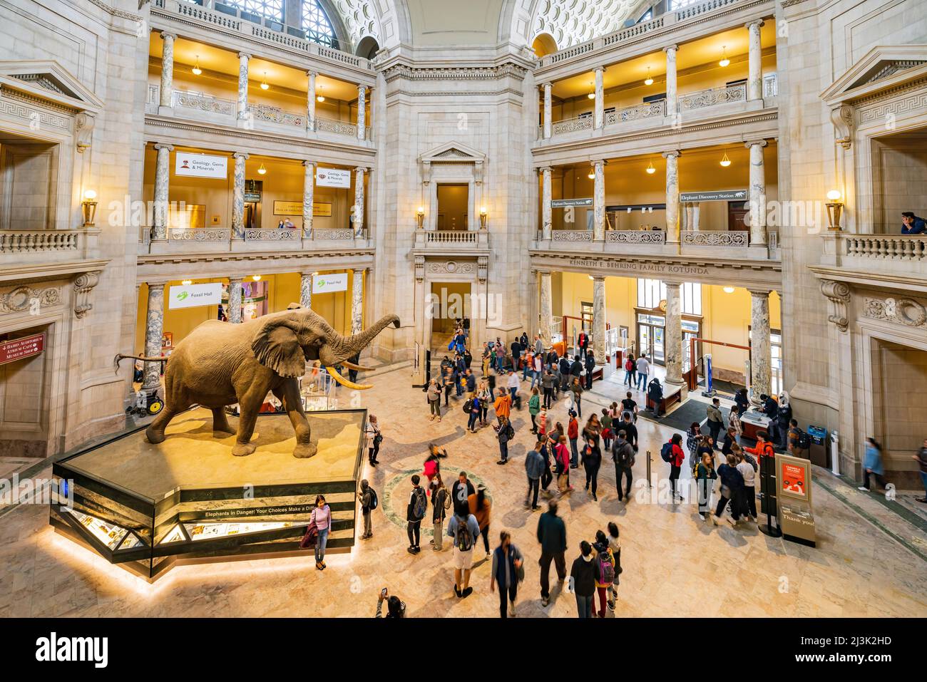 Washington DC, MAR 31 2022 - Interior view of the Smithsonian National ...