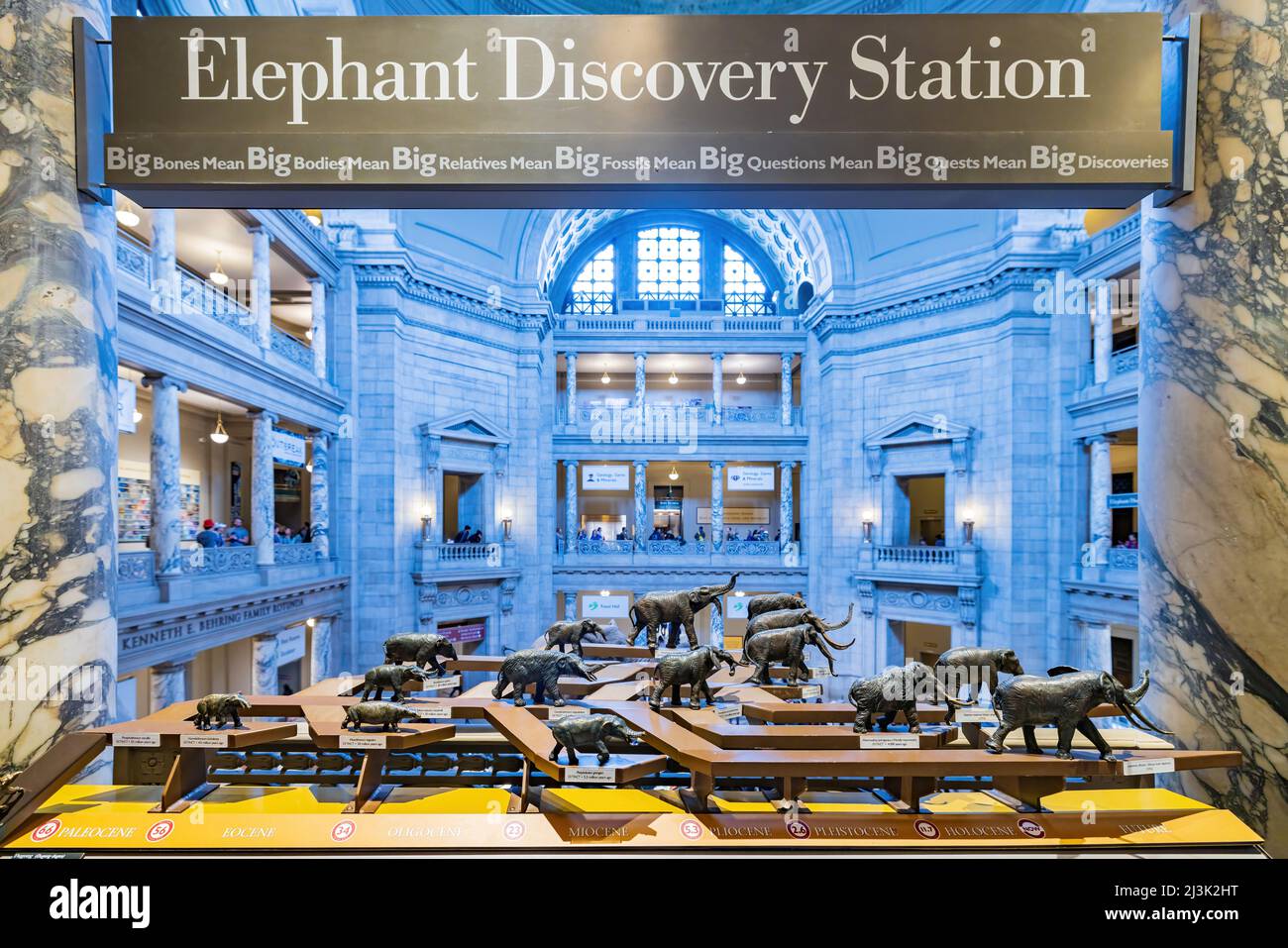 Washington DC, MAR 31 2022 - Interior view of the Smithsonian National ...