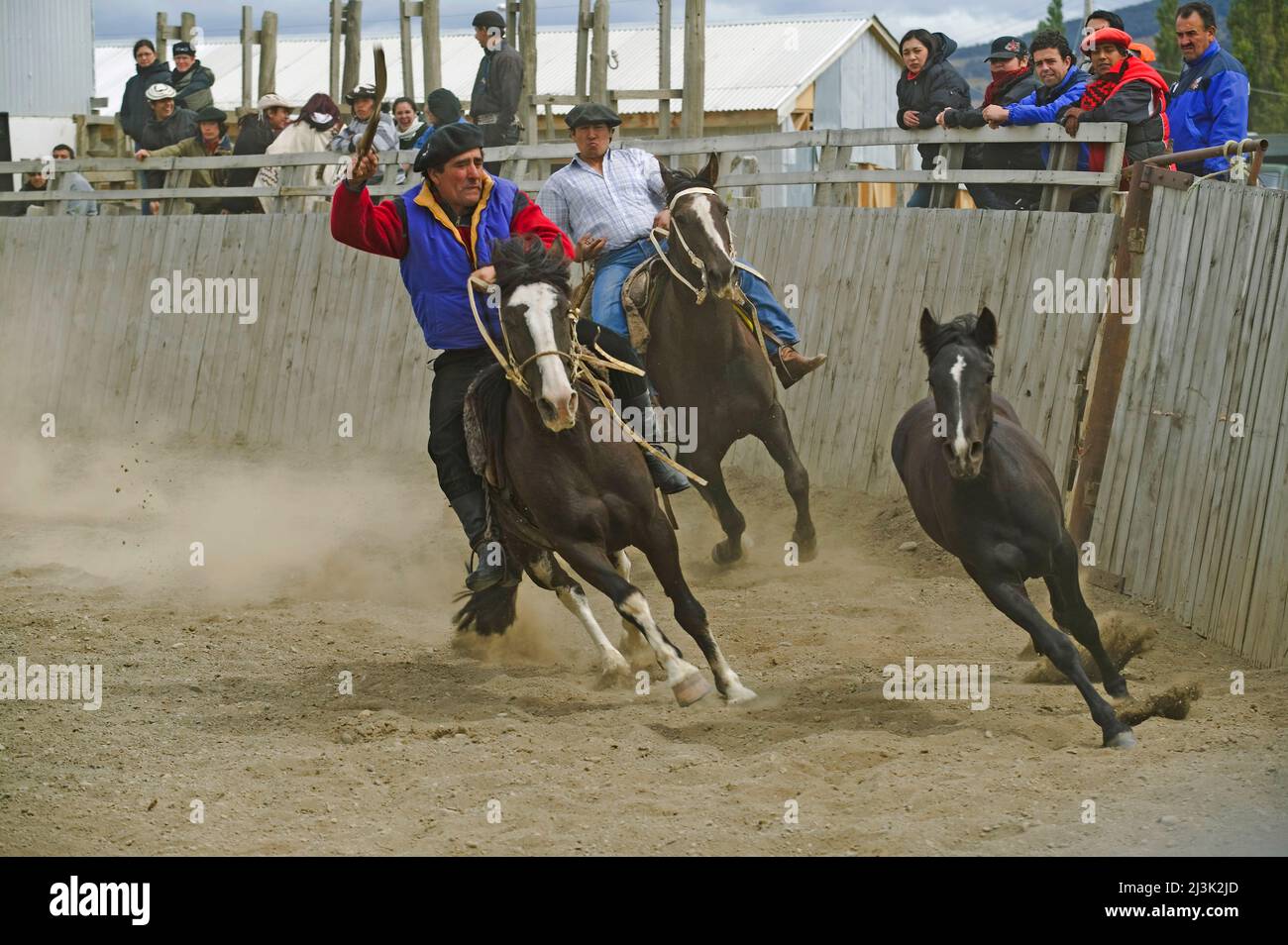 A rodeo at Cerro Castillo, near Puerto Natales, Patagonia, Chile ...
