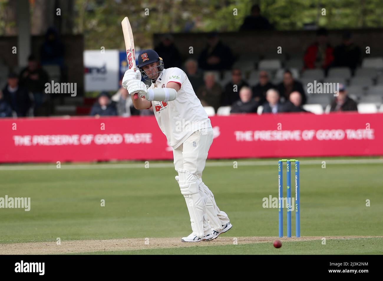 Mark Steketee in batting action for Essex during Essex CCC vs Kent CCC ...