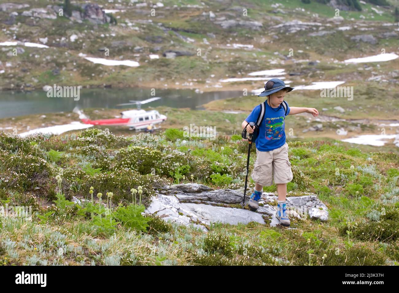 A six year old boy heli-hikes using a walking stick.; Adamants Range ...