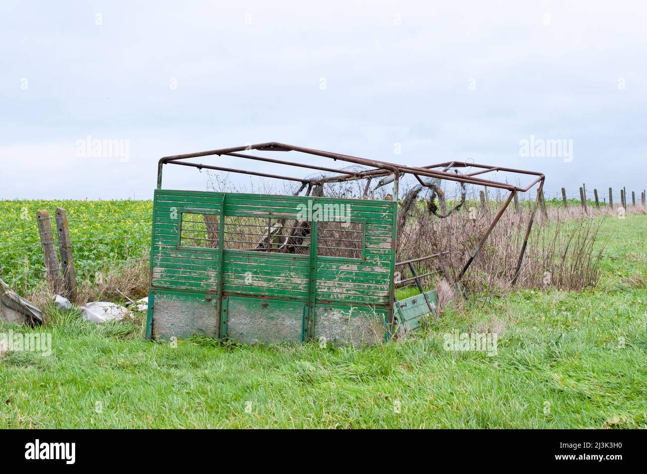 Ruin shack for farm cattle or sheep on agricultural land Stock Photo ...
