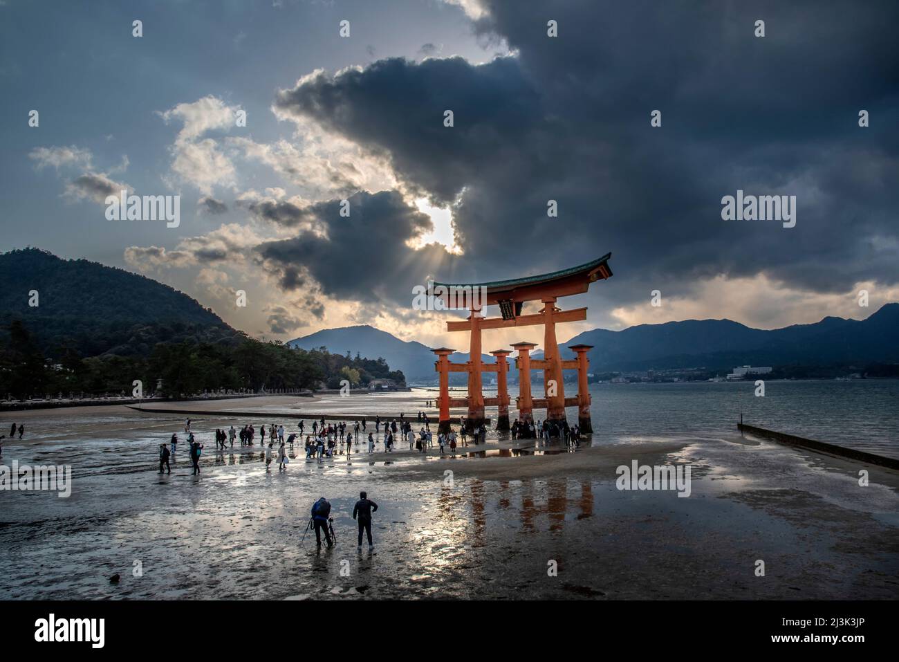 At low tide, visitors surround the giant tori gate at Miyajima ...