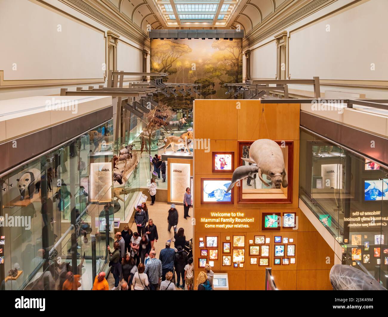 Washington DC, MAR 31 2022 - Interior view of the Smithsonian National ...
