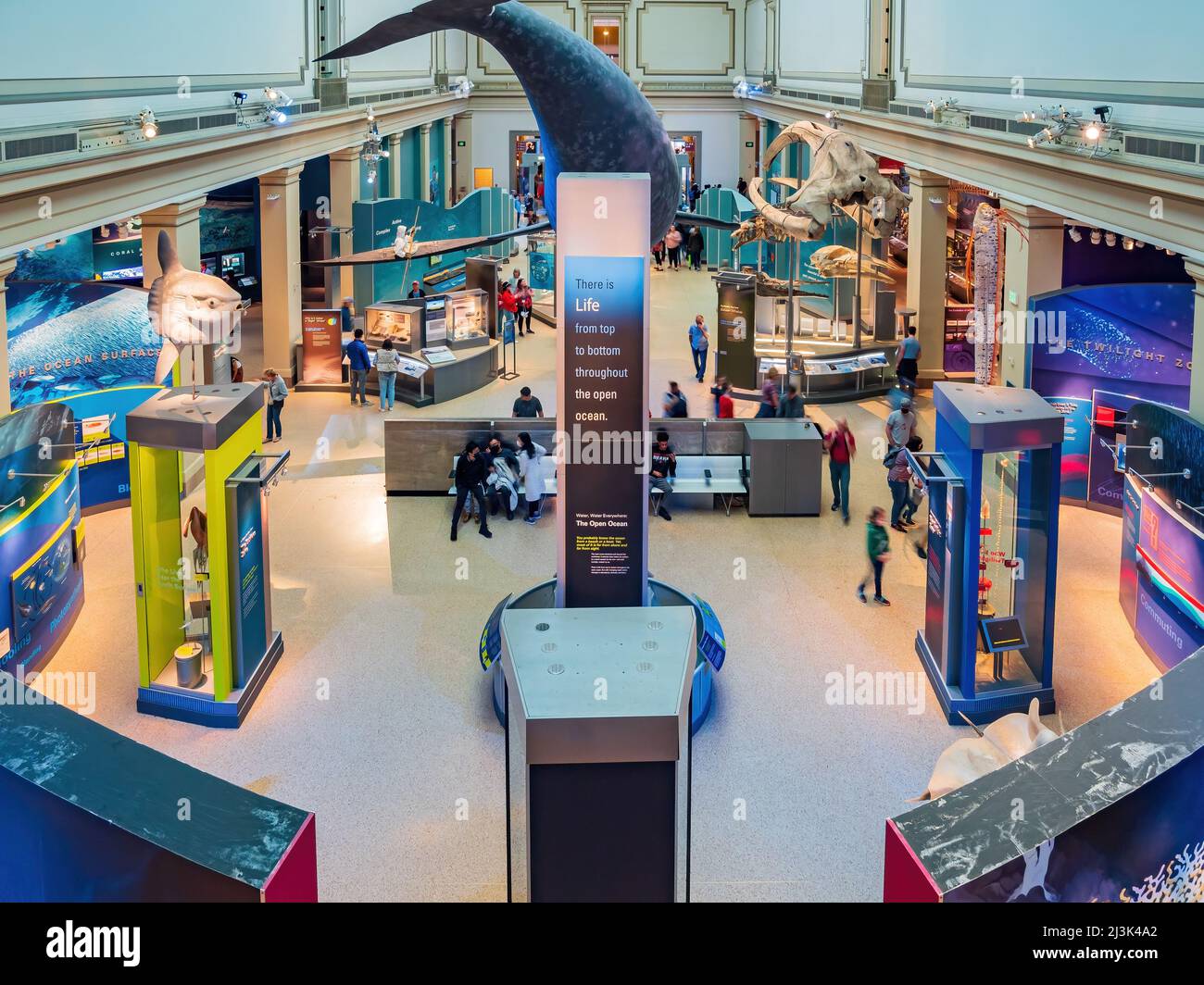 Washington DC, MAR 31 2022 - Interior view of the Smithsonian National ...