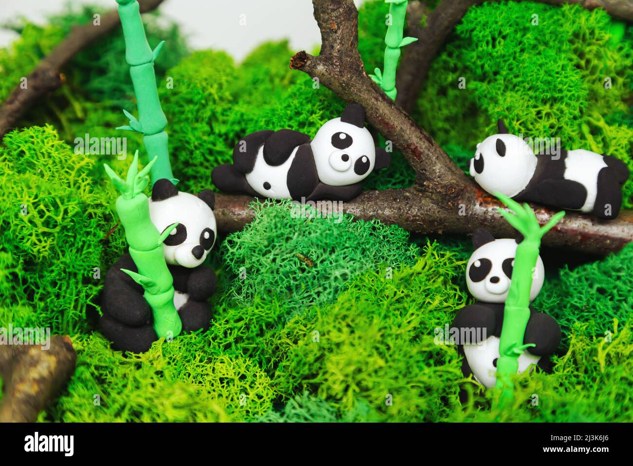 Funny homemade plasticine pandas in a stylized jungle. Concept for ...