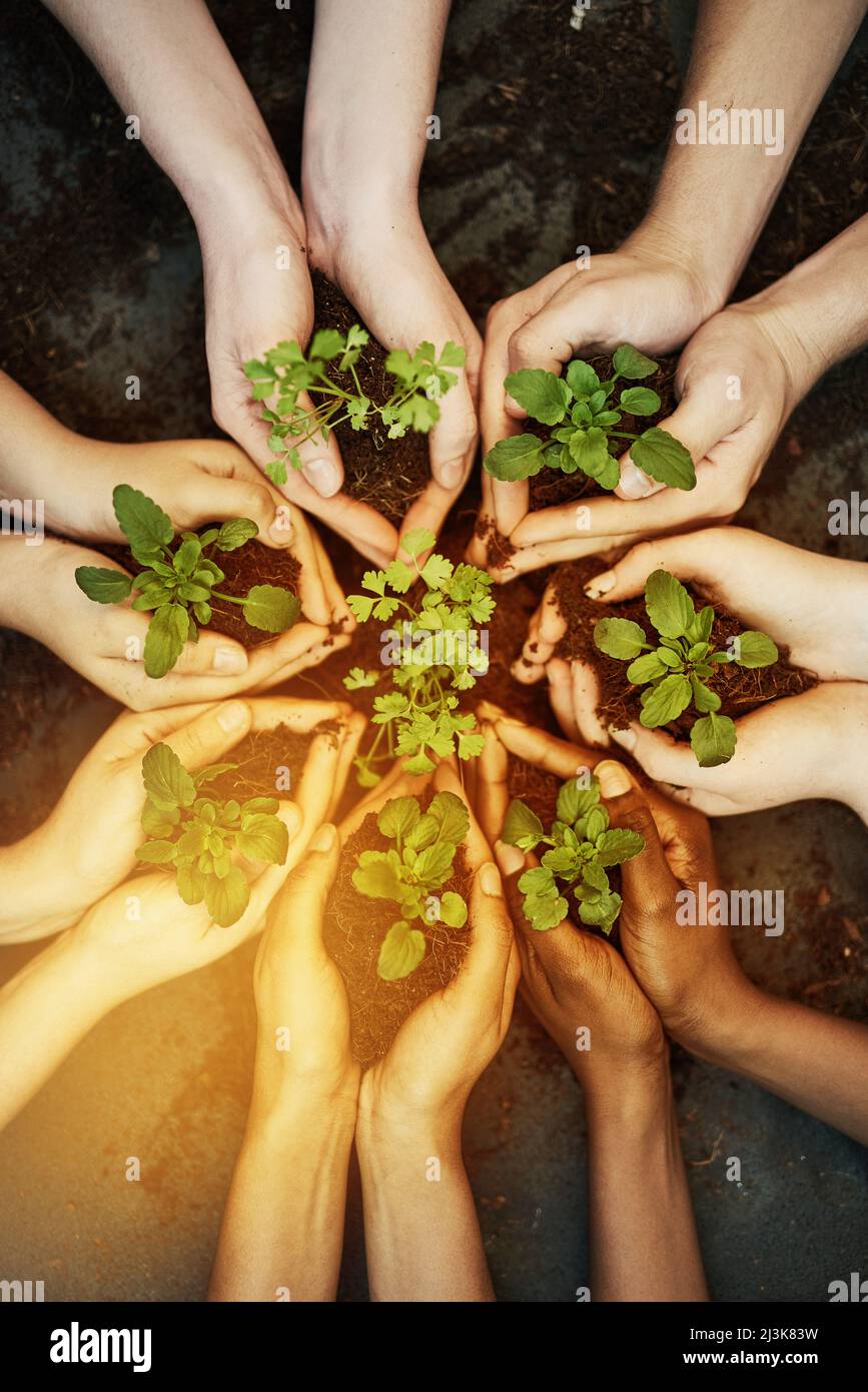 Lend a hand to save our greenery. Cropped shot of a group of people ...