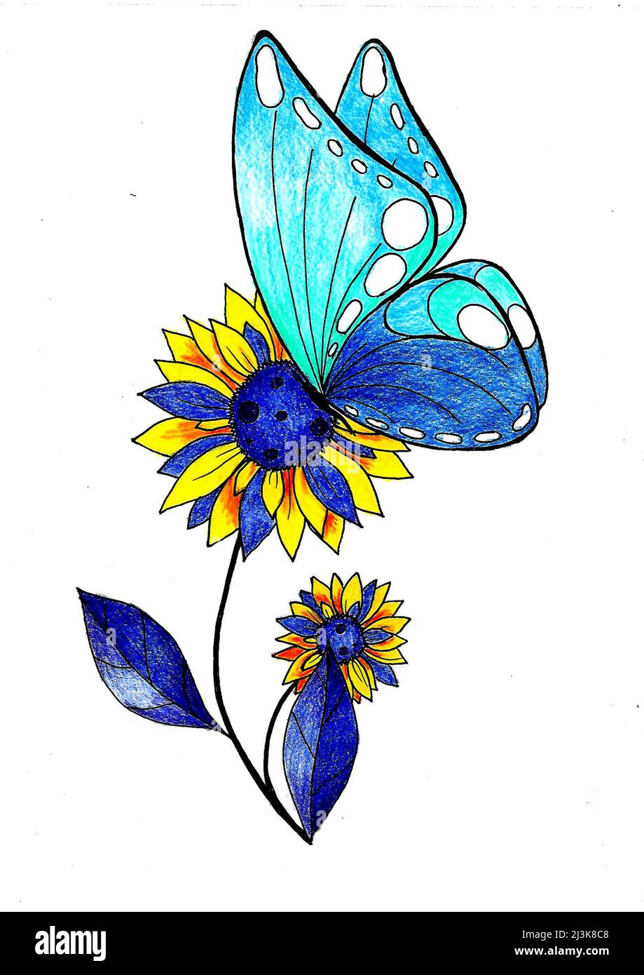 Simple Butterfly On Flower Drawing