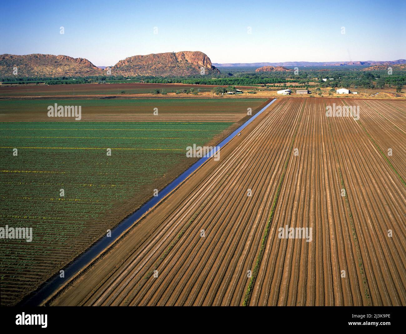 Crops under irrigation at Kununurra on the Ord river Western Australia ...