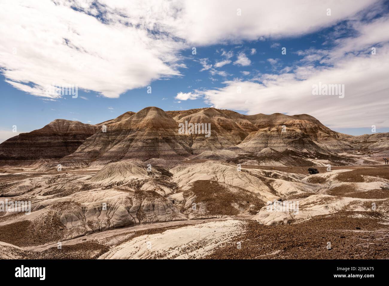 Badlands Formations On Blue Mesa Trail in Petrified Forest National ...