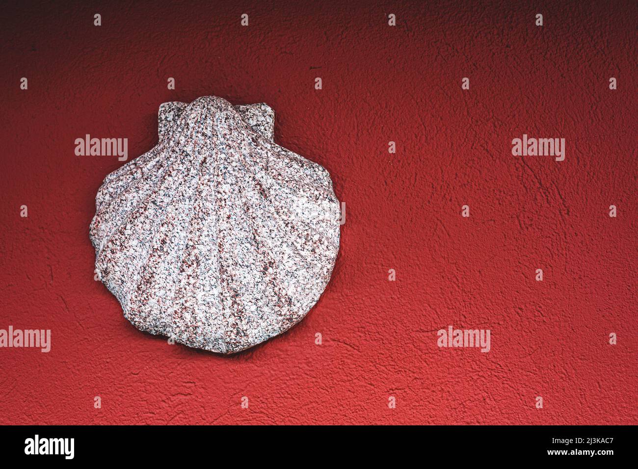 Rough shell hi-res stock photography and images - Alamy