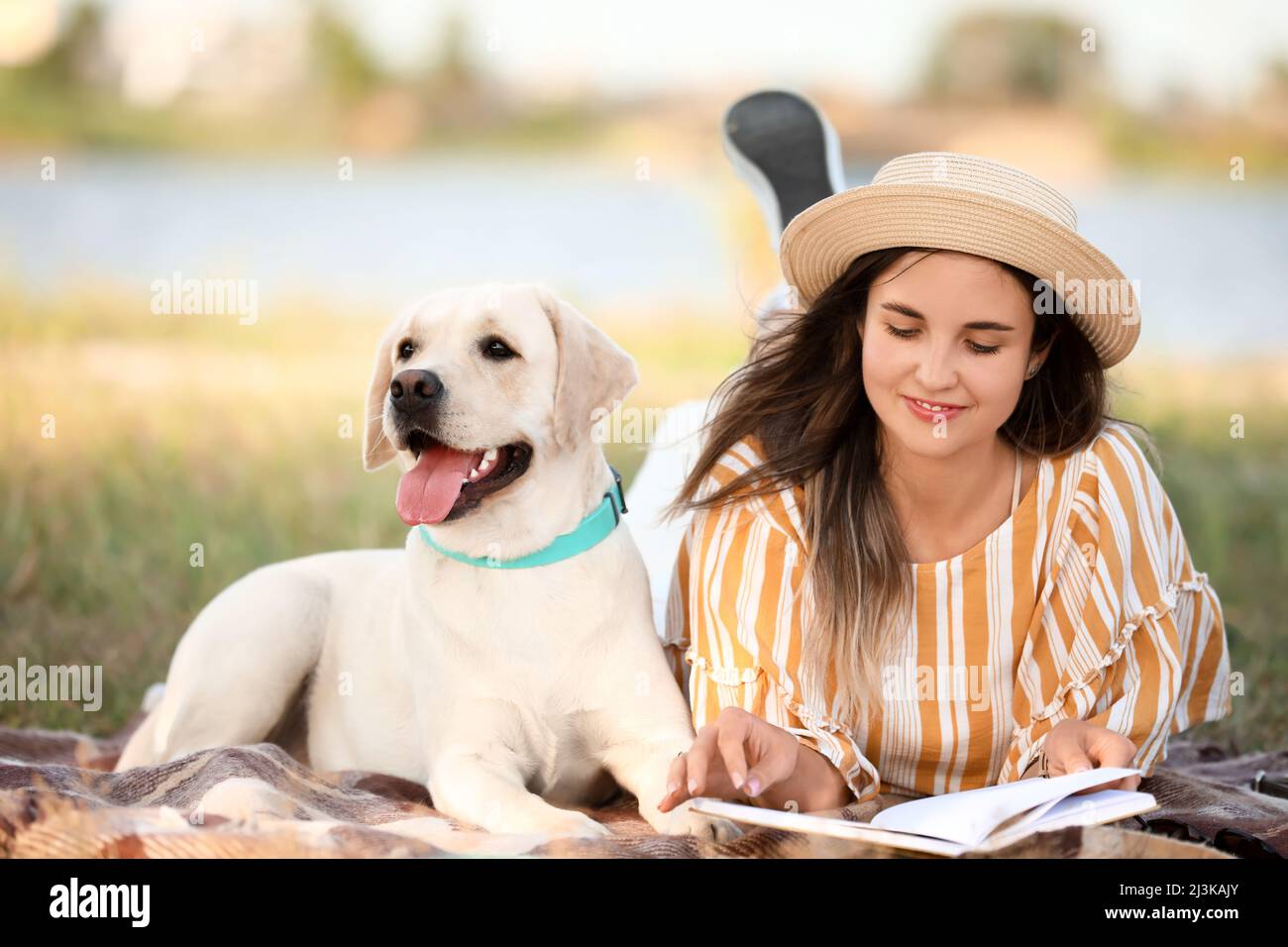 Woman with cute Labrador reading book outdoors on summer day Stock ...