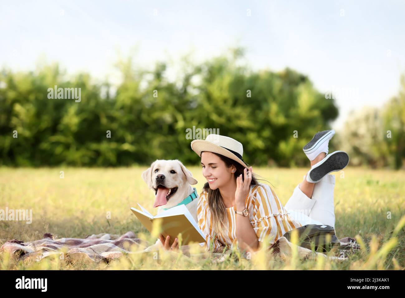 Labrador reading hi-res stock photography and images - Alamy