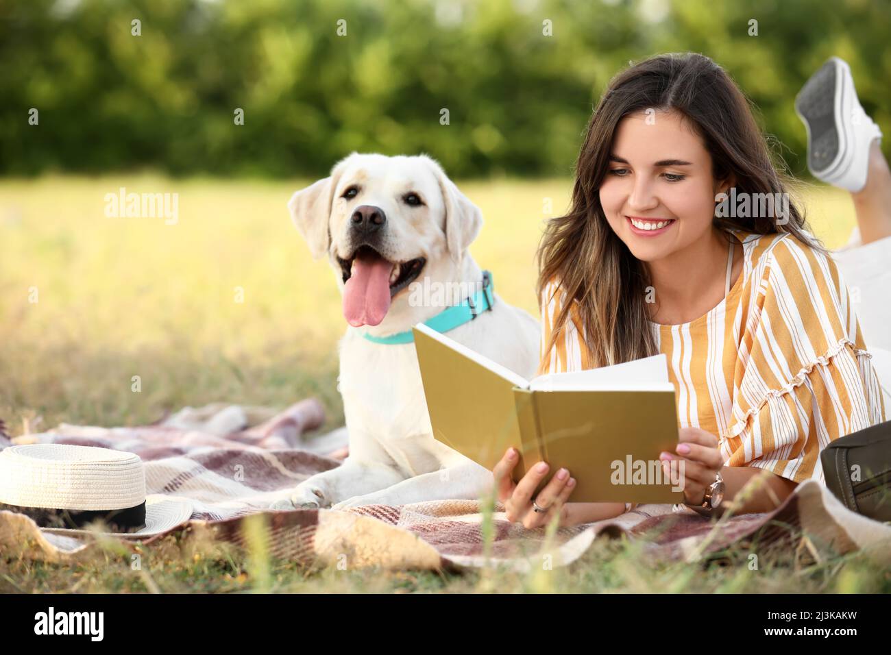 Labrador reading hi-res stock photography and images - Alamy