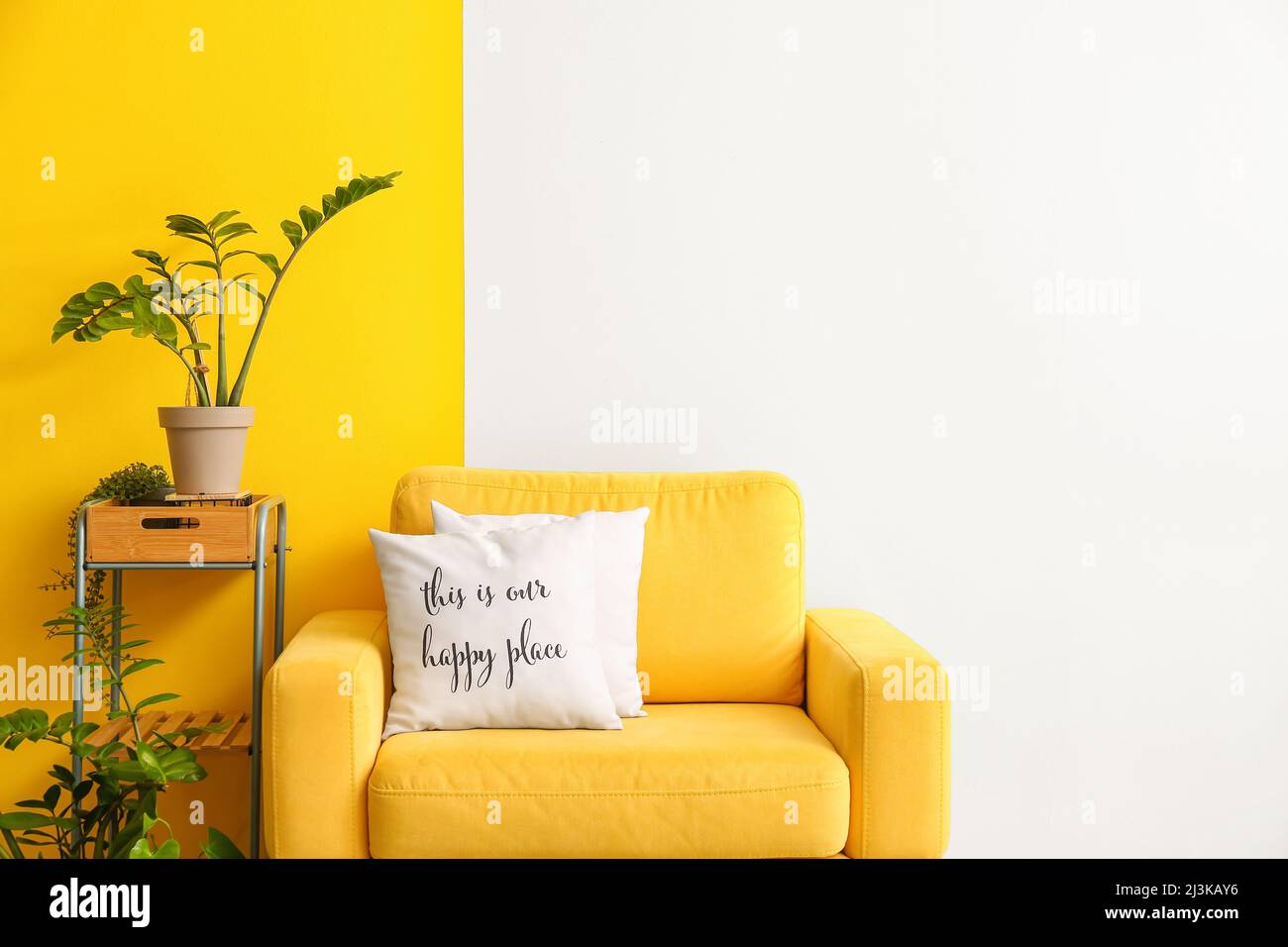 Comfortable armchair and beautiful houseplants near color wall Stock ...