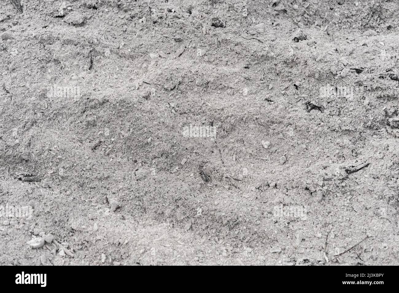 ash and remains Stock Photo - Alamy