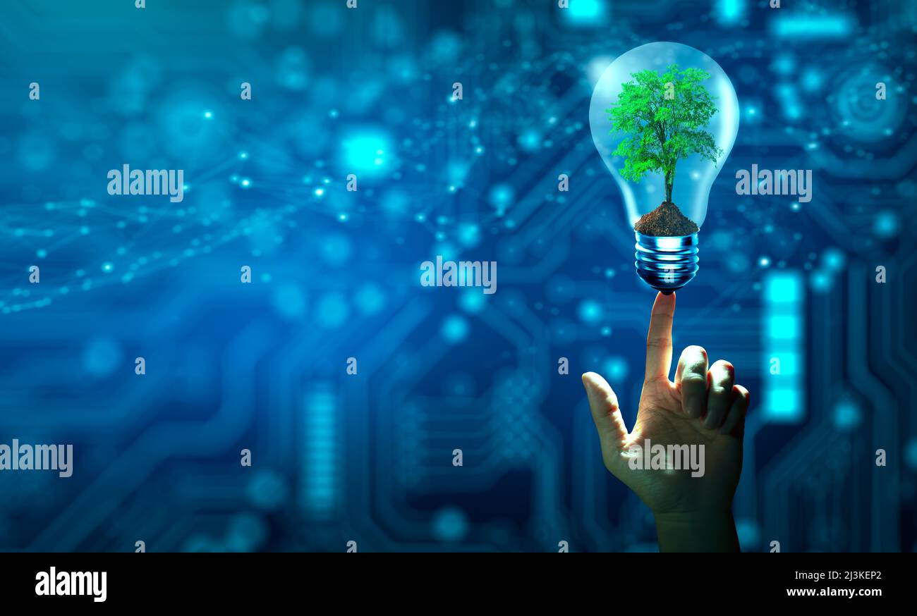 Hand holding Tree growing in light bulb. Ecology and Technology ...