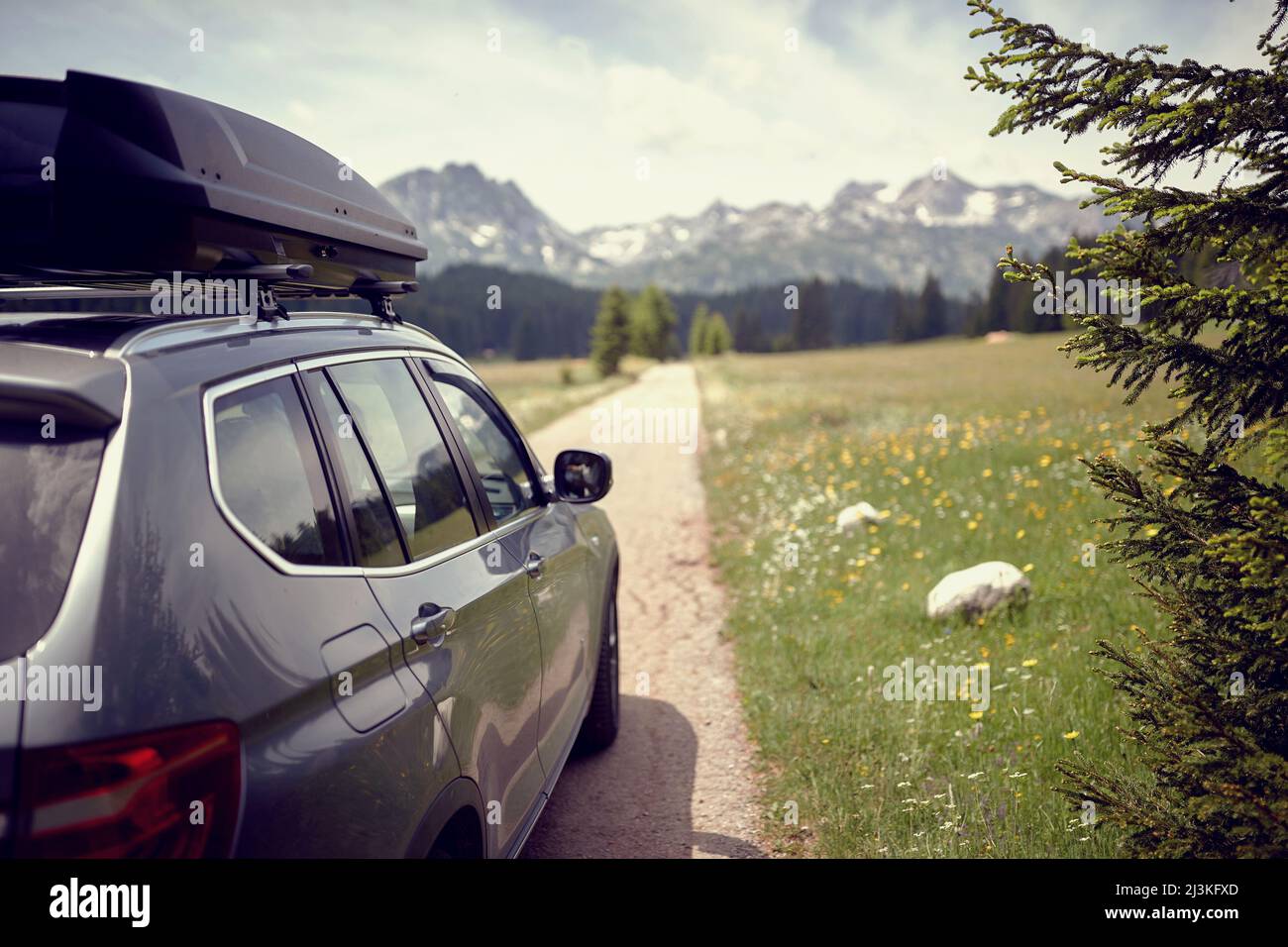 Rear view of car on the road. Green meadow and mountains in background ...