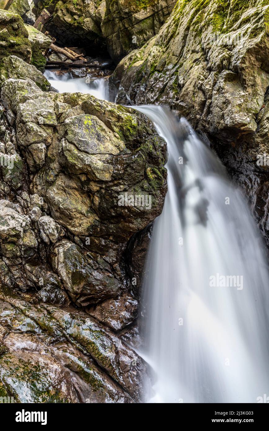 Wheelchair accessible,short 400m walk from car park,The Afon Sychryd ...