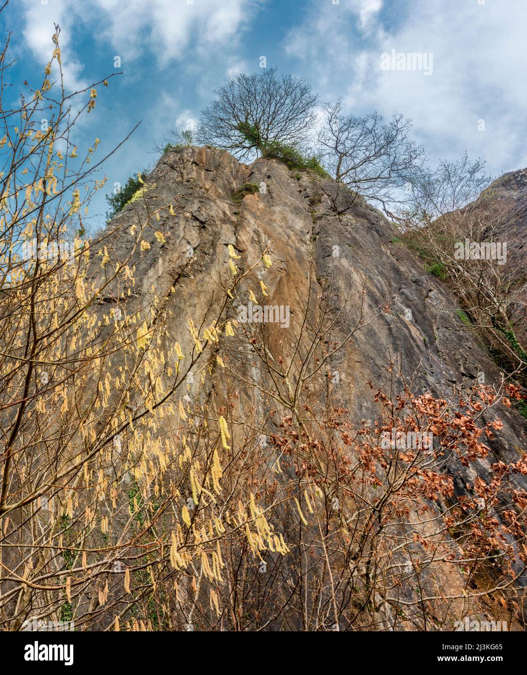 Fissures on rock hi-res stock photography and images - Alamy