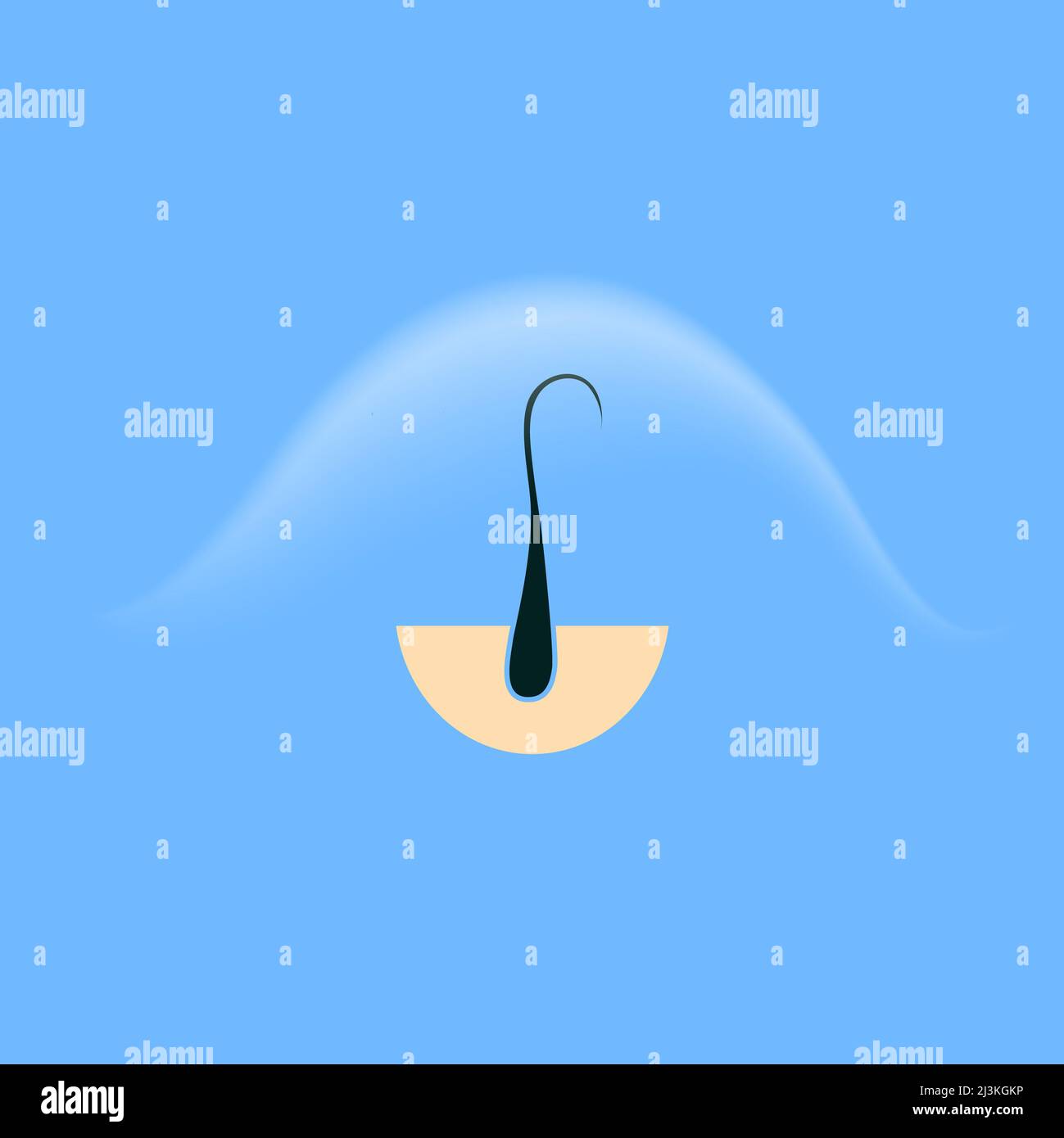 Hair protection, conceptual illustration Stock Photo - Alamy Hair protection, conceptual illustration Stock Photo - Alamy