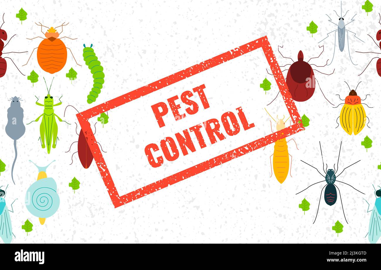 Grub control Cut Out Stock Images & Pictures - Alamy