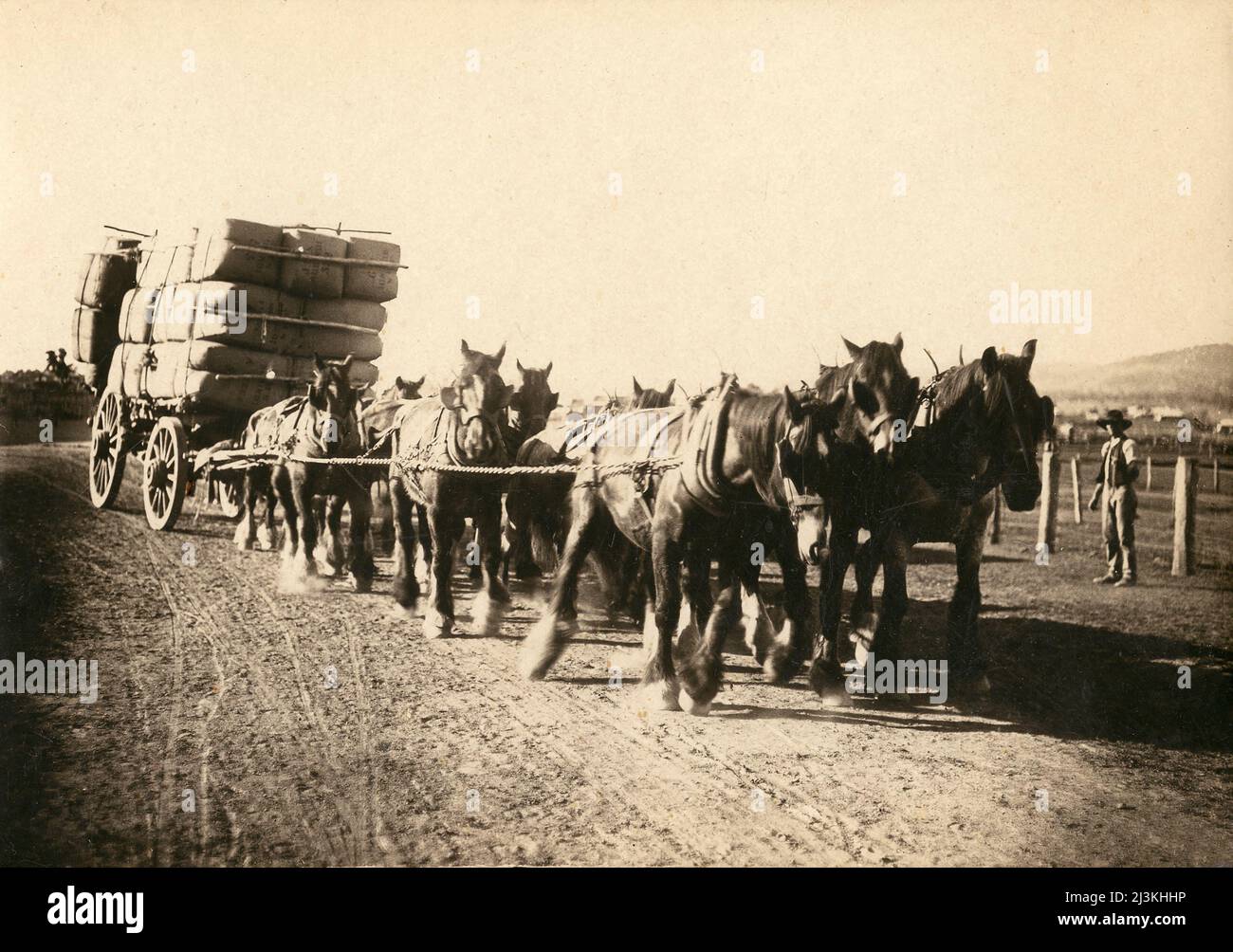 Wool wagon australia hi-res stock photography and images - Alamy