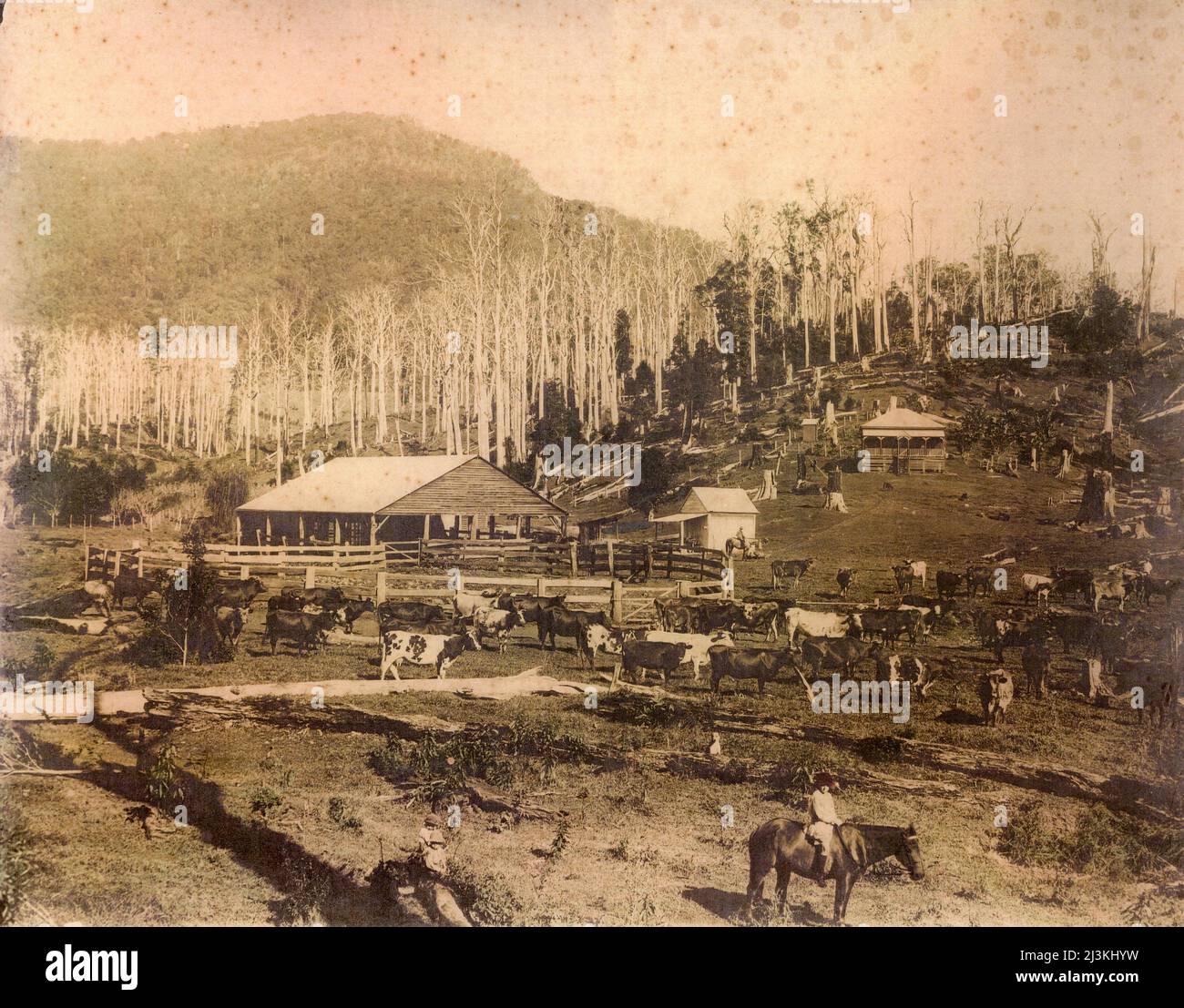 Tweed valley australia farm hi-res stock photography and images - Alamy